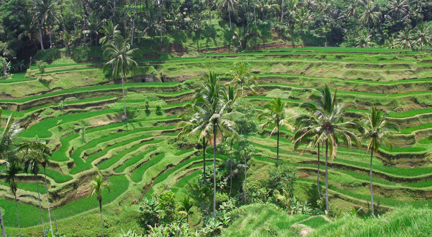 Autentiske rejser til Bali | Individuelle rundrejser
